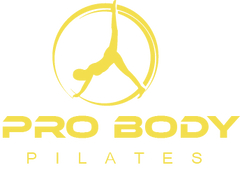 Pilates and Yoga Equipment & Accessories - Pilates Rings, Yoga Balls ...